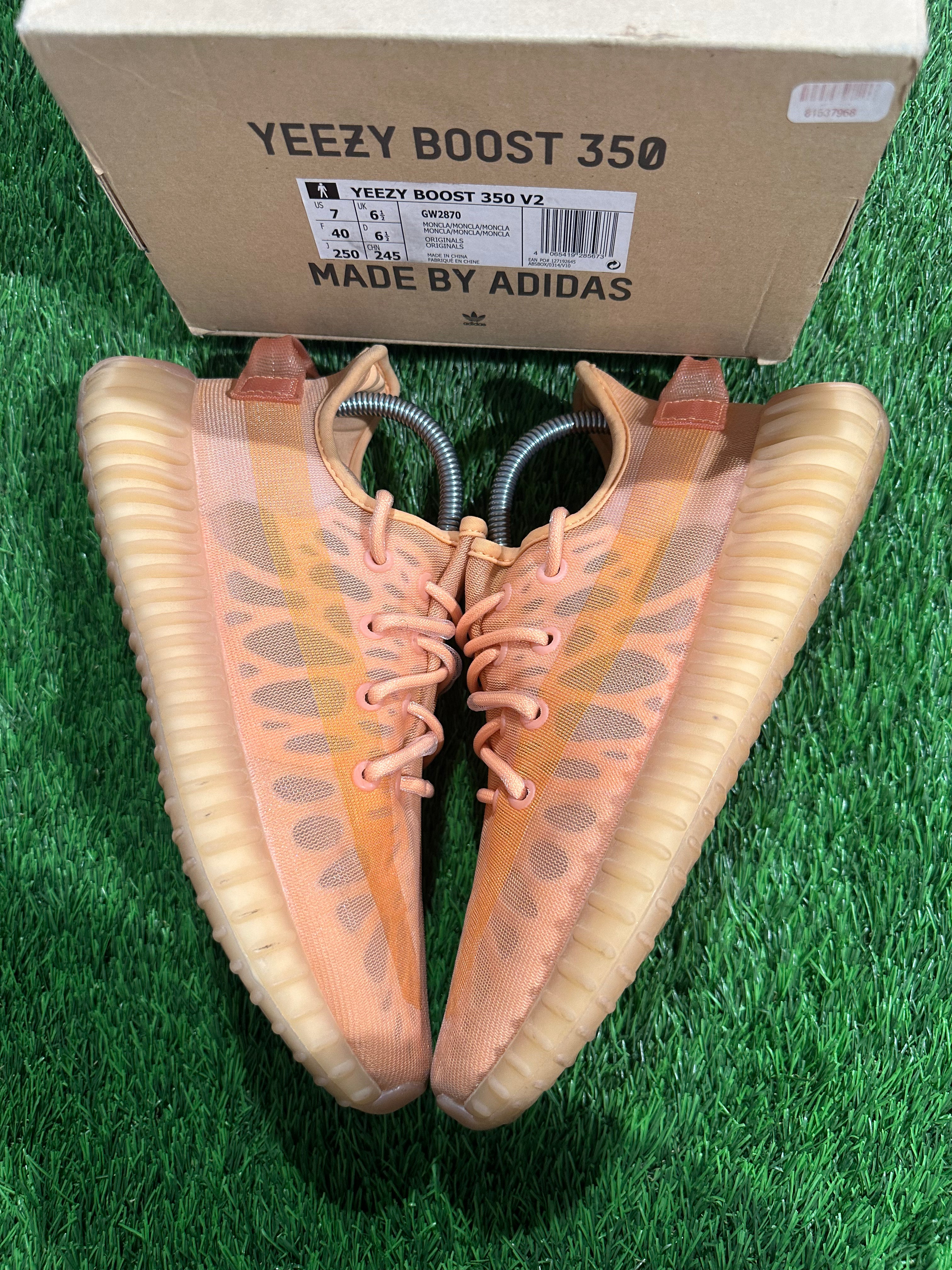 adidas Yeezy Boost 350 V2 Mono Clay – Fried Hard Blvd.